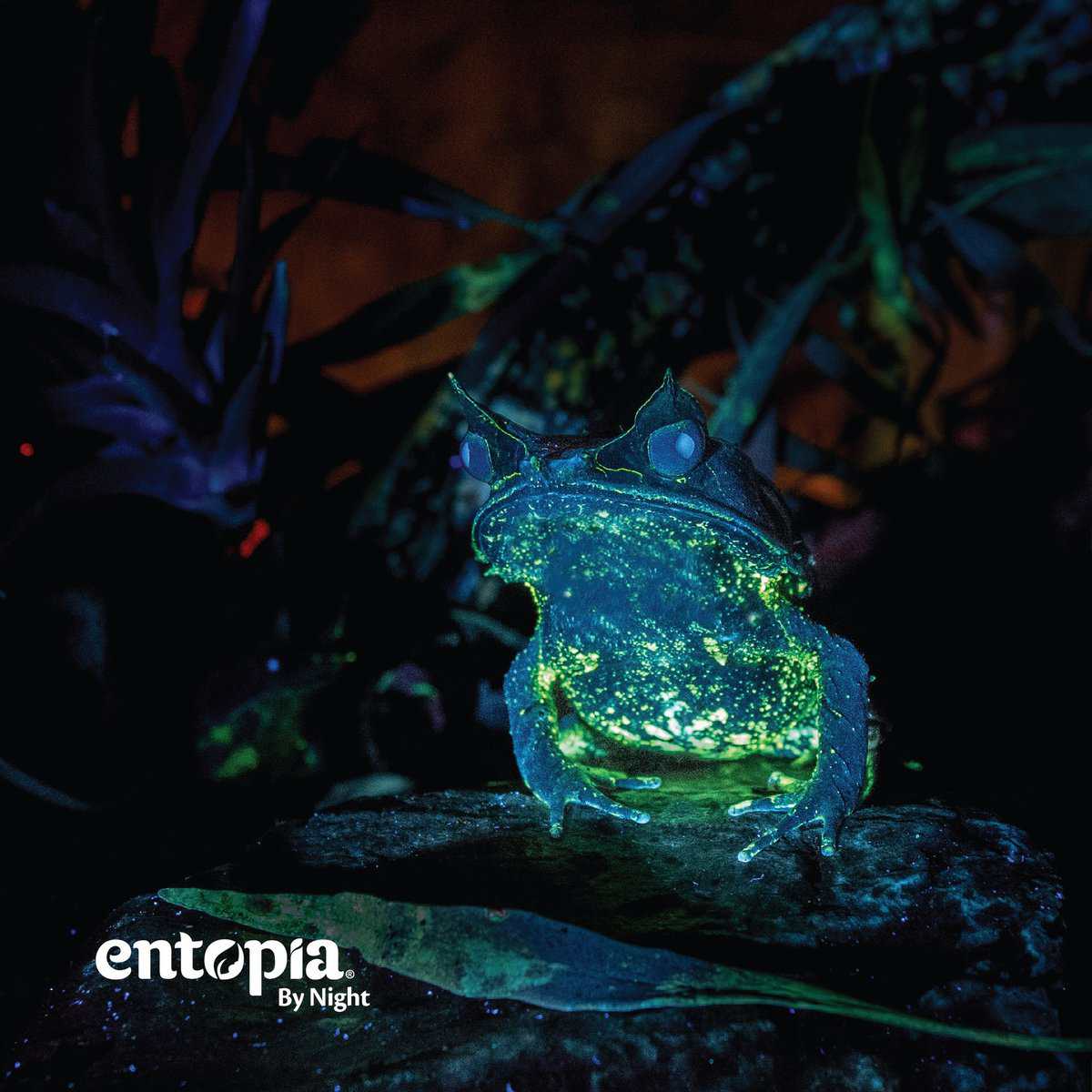 New Kid-Friendly Places and Attractions in Malaysia: 2024 and 2025 ...